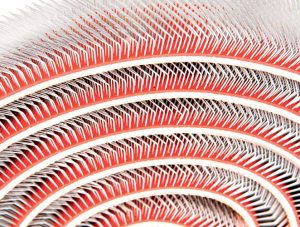 Guarniciones de cardas - BOUVEUR